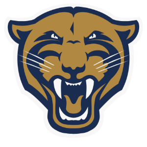 Illinois High School Football