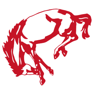 Illinois High School Football