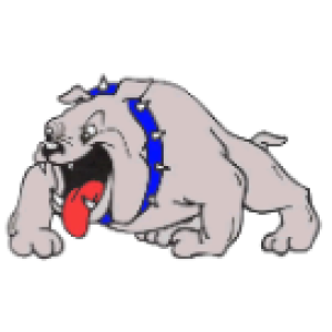 Illinois High School Football